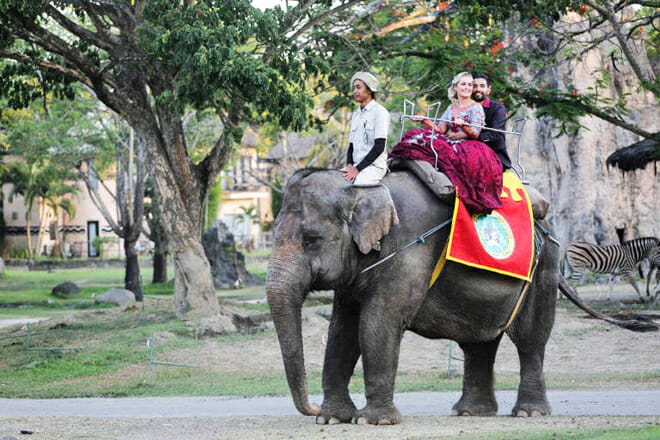 Bali Safari And Marine Park &mdash; Gianyar