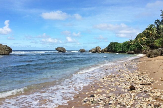 Bathsheba Park &mdash; Bathsheba