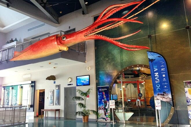 Bermuda Underwater Exploration Institute &mdash; Pembroke