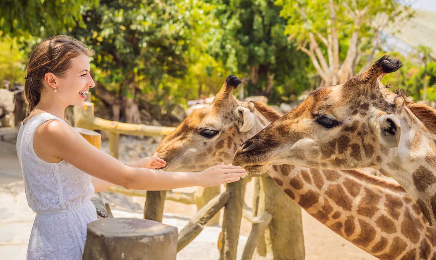 Best Things To Do In Sacramento