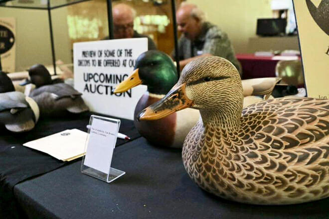 Bluebonnet Swamp Nature Center