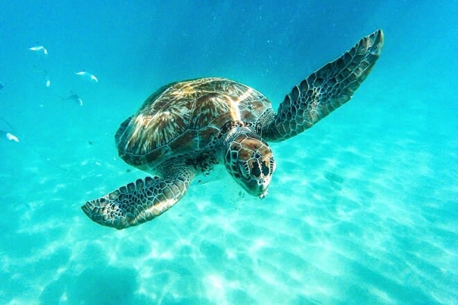 Calypso Cruises &mdash; Bridgetown