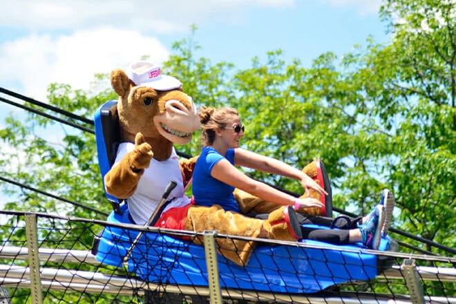 Camel Mountain Adventures — Tannersville