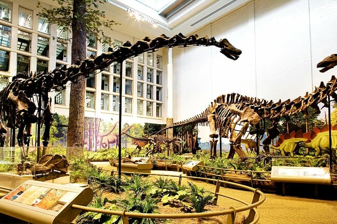 Carnegie Museum of Natural History