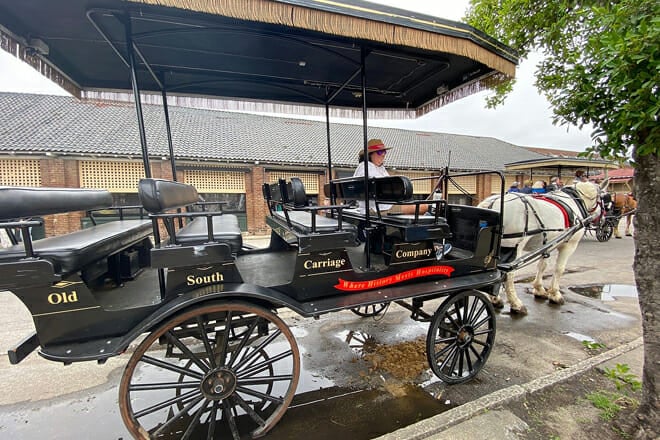 Charleston’s Old South Carriage Historic Horse & Carriage Tour