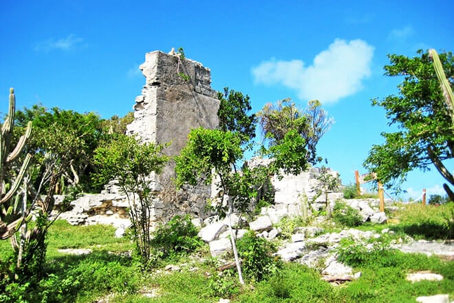 Cheshire Hall Plantation