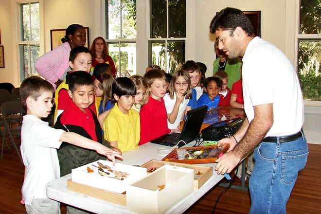 Coastal Discovery Museum &mdash; Honey Horn