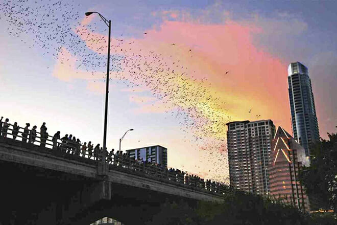 Congress Avenue Bridge