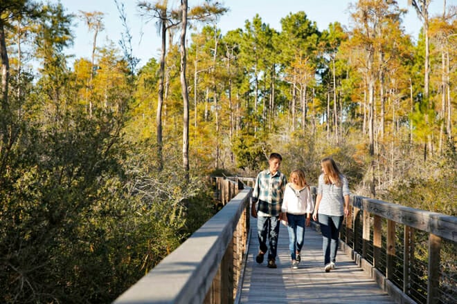 Conservation Park &mdash; Conservation Drive