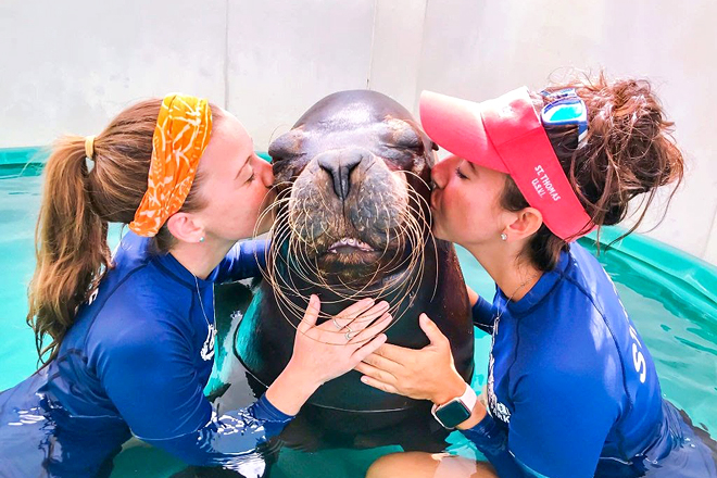 Coral World Ocean Park