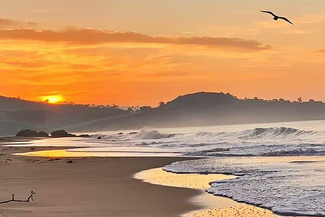 Crystal Cove State Park