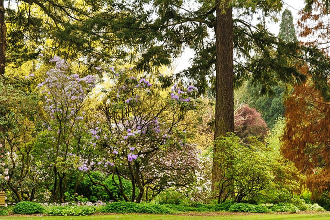 Crystal Springs Rhododendron Garden