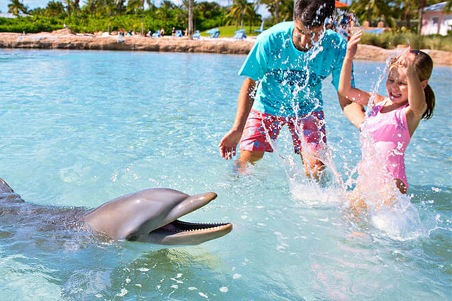 Dolphin Cay &mdash; Paradise Island