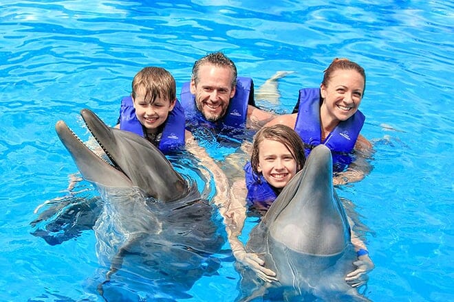 Dolphin Encounter