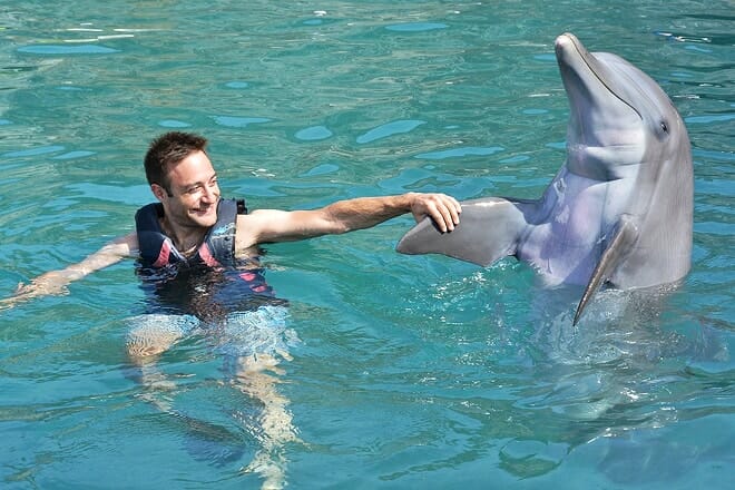 Dolphin Quest Bermuda &mdash; Sandys