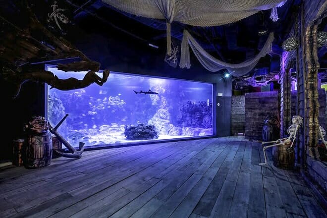 El Acuario de Playa — Centro