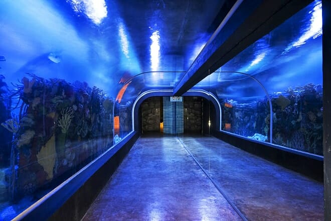 El Acuario de Playa — Playa del Carmen