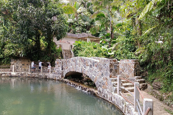 El Yunque National Forest &mdash; Northeastern Puerto Rico