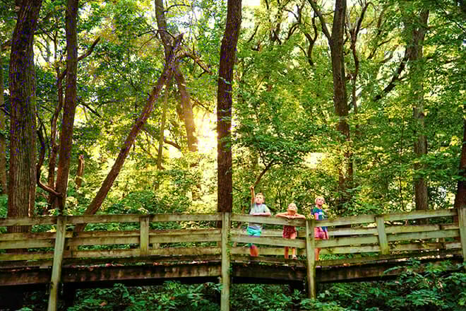 Fontenelle Forest &mdash; Bellevue