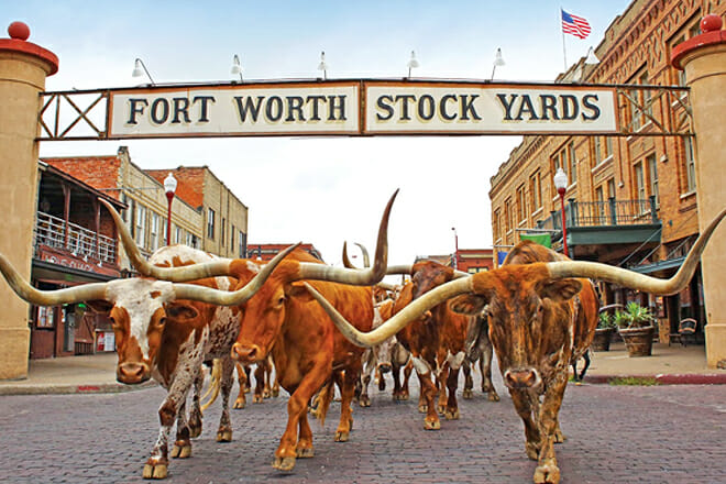 Fort Worth Stockyards