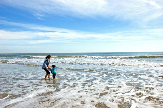 Galveston Island State Park &mdash; West End