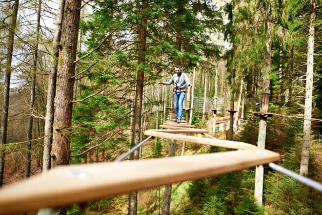 Go Ape Zipline Adventure Park — Shelby Farms Park