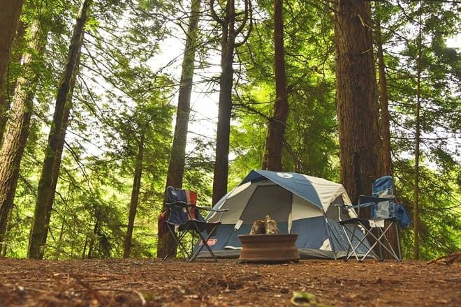 Humboldt Redwoods State Park — Weott