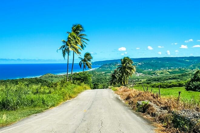 Island Safari &mdash; Froster Hall