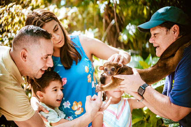 Jungle Island — Parrot Jungle Trail