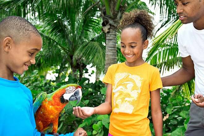 Junior Ultimate Trainer For A Day &mdash; Paradise Island