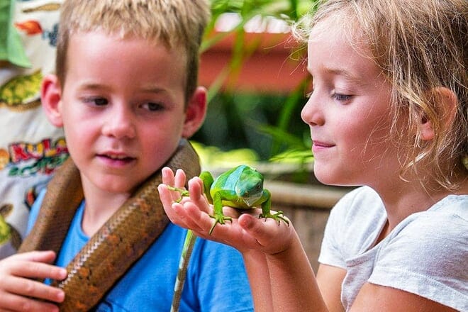 Kula Wild Adventure Park