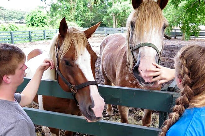 Lawton Stables &mdash; Sea Pines
