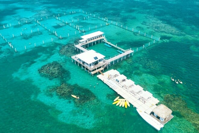 Marinarium Excursions