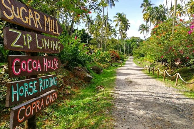Morne Coubaril Historical Adventure Park — Morne Coubaril