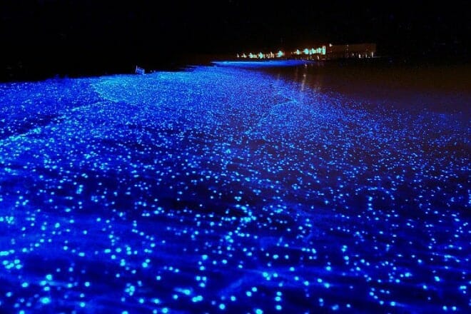 Mosquito Bioluminescent Bay &mdash; South Vieques