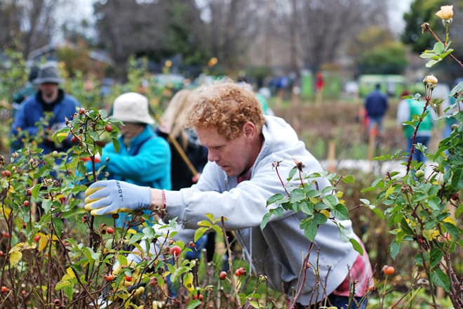 Municipal Rose Garden