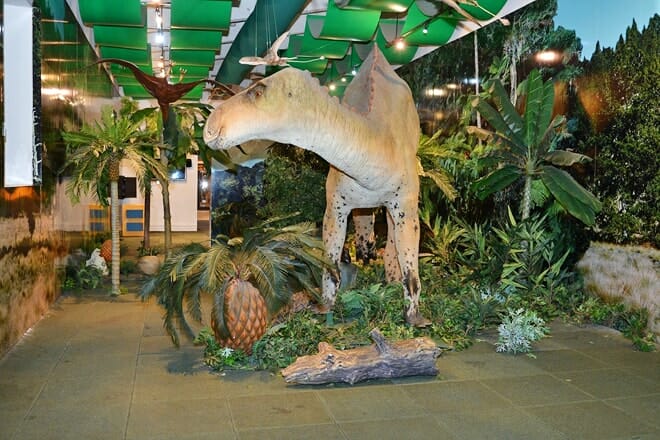 Museo Infantil Trampolin &ndash; Santo Domingo