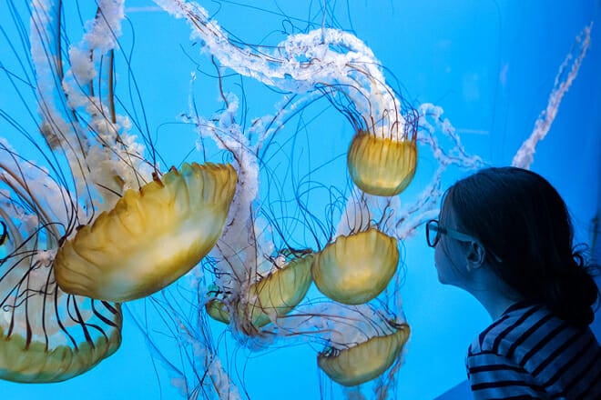 National Aquarium In Baltimore