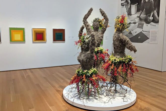 north carolina museum of art