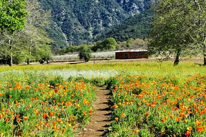 Oak Glen Preserve &mdash; Yucaipa