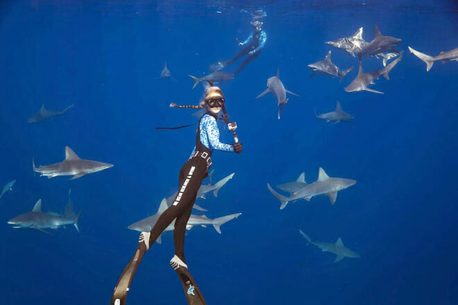 One Ocean Diving &mdash; Haleiwa