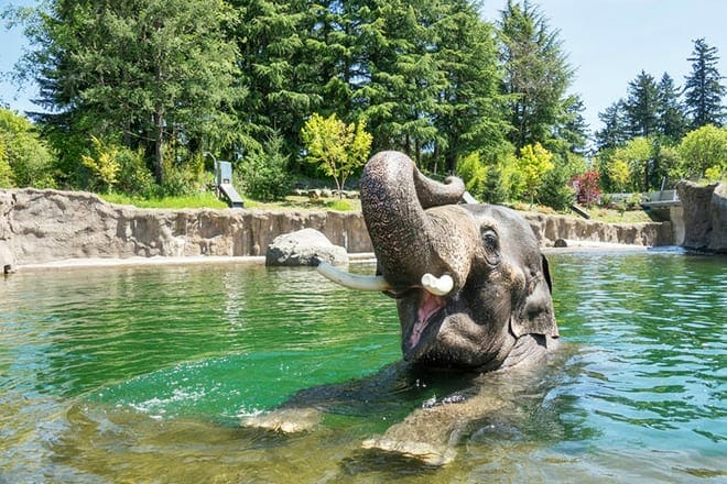 Oregon Zoo