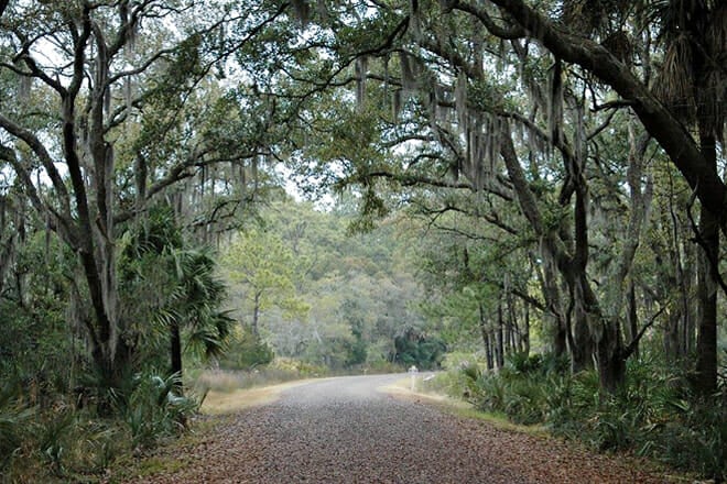 Pinckney Island National Wildlife Refuge