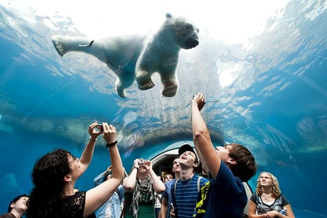 Pittsburgh Zoo & PPG Aquarium