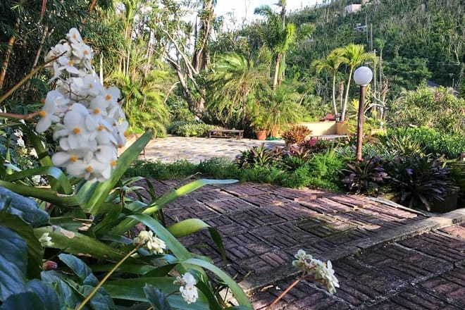 Plantation Crown And Hawk Botanical Garden