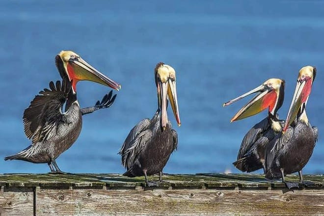 Point Reyes National Seashore — Marin