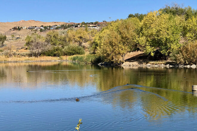 Rancho San Rafael Regional Park