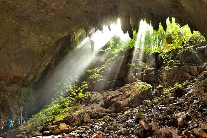 Rio Camuy Cave Park &mdash; South Quebrada