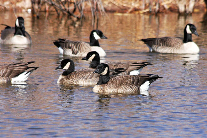 Rio Grande Nature Center State Park