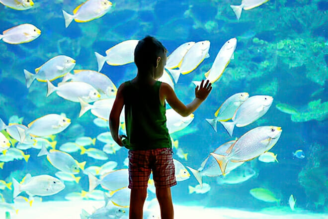 Ripley&rsquo;s Gatlinburg Aquarium &mdash; Gatlinburg